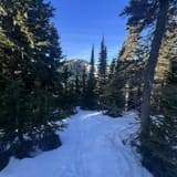 Summit Lake Trail, Washington - 2,698 Reviews, Map | AllTrails
