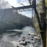 Hawk Falls Trail, Pennsylvania - 2,716 Reviews, Map | AllTrails