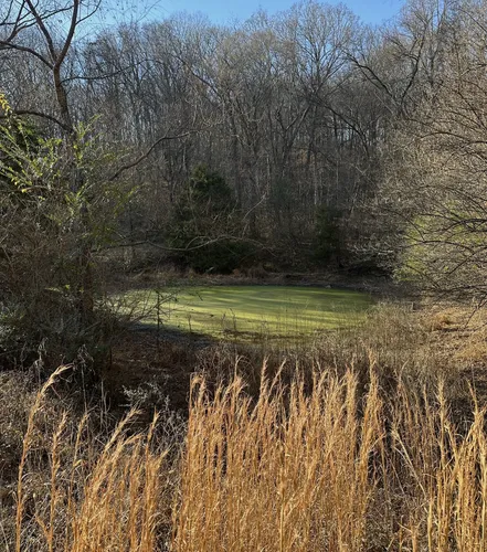 Best Hikes and Trails in Edwin Warner Park | AllTrails