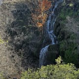 Gorman Falls Trail, Texas - 1,062 Reviews, Map | AllTrails