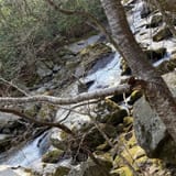 Mouse Creek Falls via Big Creek Trail, Tennessee - 2,538 Reviews, Map ...