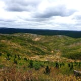 Riverhead Forest Loop Track, Auckland, New Zealand - 65 Reviews, Map ...