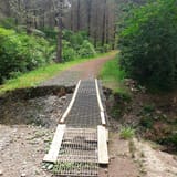 Riverhead Forest Loop Track, Auckland, New Zealand - 65 Reviews, Map ...