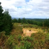 Riverhead Forest Loop Track, Auckland, New Zealand - 65 Reviews, Map ...