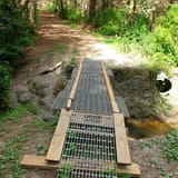 Riverhead Forest Loop Track, Auckland, New Zealand - 65 Reviews, Map ...