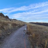 Devil's Backbone Nature Trail, Colorado - 2,032 Reviews, Map | AllTrails
