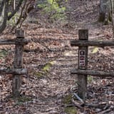 Jarrard Gap, Slaughter Creek, and Appalachian Trail Loop, Georgia - 383 ...