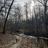Poor Farm Park Trails, Virginia - 594 Reviews, Map | AllTrails
