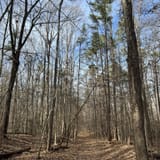 Poor Farm Park Trails, Virginia - 594 Reviews, Map | AllTrails