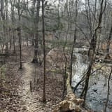 Poor Farm Park Trails, Virginia - 594 Reviews, Map | AllTrails
