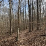 Poor Farm Park Trails, Virginia - 594 Reviews, Map | AllTrails