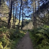 Alamere Falls via Coast Trail from Palomarin Trailhead, California ...