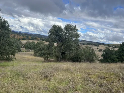 10 Best Hikes and Trails in Santa Rosa Plateau Ecological Reserve ...