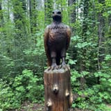 Hanmer Forest Sculpture Walk, Canterbury, New Zealand - 163 Reviews ...