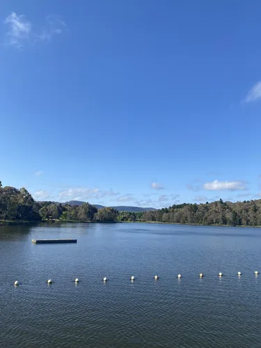 Best Hikes and Trails in Lake Canobolas Reserve | AllTrails