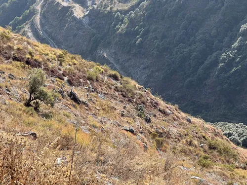 Best Hikes and Trails in Mussoorie | AllTrails