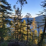 Mount Rose Trail, Washington - 1,384 Reviews, Map | AllTrails