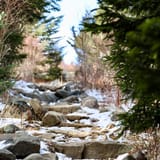 Wilburn Ridge via Appalachian Trail, Virginia - 1,799 Reviews, Map ...