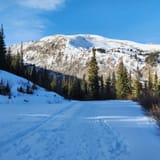 McCullough Gulch Trail, Colorado - 2,363 Reviews, Map | AllTrails