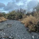 Dreamy Draw Loop Trail, Arizona - 1,140 Reviews, Map | AllTrails