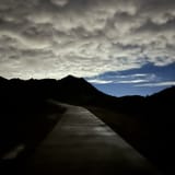 Dreamy Draw Loop Trail, Arizona - 1,140 Reviews, Map | AllTrails