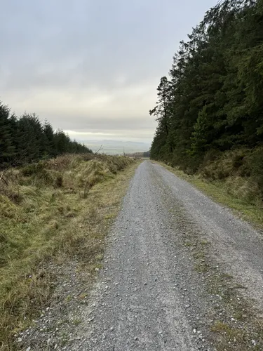 Best Walking Trails in Ballyhooly | AllTrails