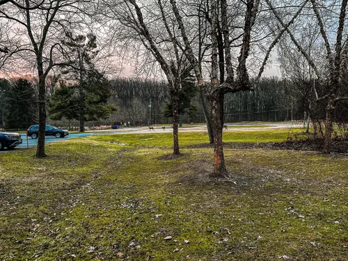 Best Hikes and Trails in Wheaton Regional Park | AllTrails