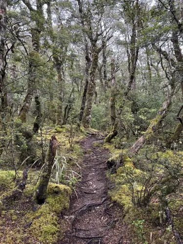 Best Lake Trails in Culverden | AllTrails
