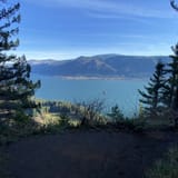 Cape Horn Loop Trail, Washington - 4,318 Reviews, Map | AllTrails