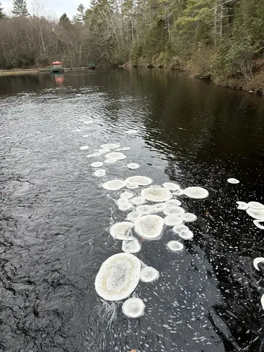 Best Hikes and Trails in Buffam Falls Conservation Area | AllTrails