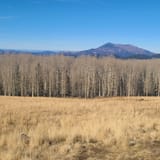 Aspen Nature Loop, Arizona - 2,074 Reviews, Map | AllTrails