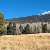 Aspen Nature Loop, Arizona - 2,092 Reviews, Map | AllTrails