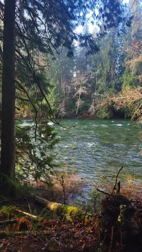 Best Hikes and Trails in Stamp River Provincial Park | AllTrails
