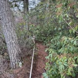 Chamberlain-Reynolds Memorial Forest Loop, New Hampshire - 953 Reviews ...