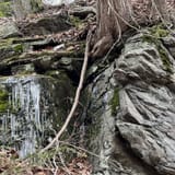 Zoar Trail, Connecticut - 2,045 Reviews, Map | AllTrails