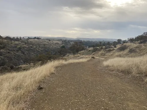 Best 10 Hiking Trails in Knights Ferry Recreation Area | AllTrails