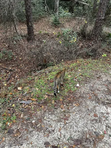Best 10 Hiking Trails In Tillie K Fowler Regional Park Alltrails