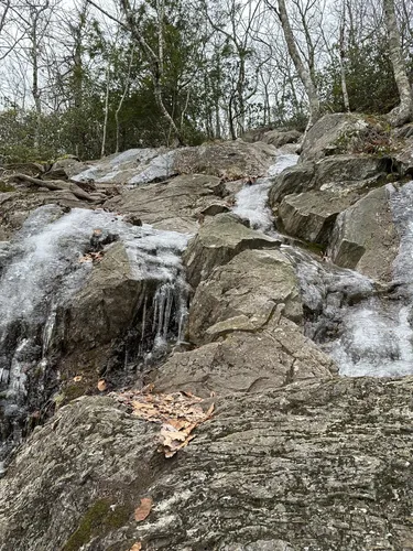 Best Hikes and Trails in Jug End State Reservation & Wildlife ...