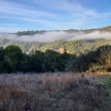 Olmstead Loop and Wendell Robie Trail, California - 2,926 Reviews, Map ...
