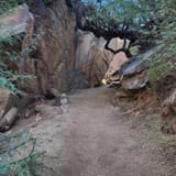 Victor Loop, California - 1,331 Reviews, Map | AllTrails