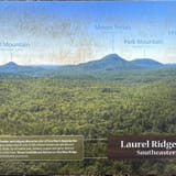 Laurel Ridge Trail Loop, Georgia - 734 Reviews, Map | AllTrails