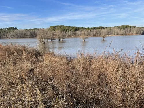 10 Best Hikes and Trails in Falls Lake State Recreation Area | AllTrails