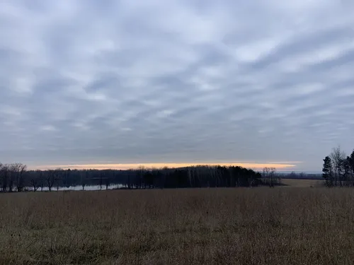 Best Hikes and Trails in Maplehurst Natural Area | AllTrails