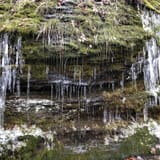 Tanbark Loop, New York - 574 Reviews, Map | AllTrails