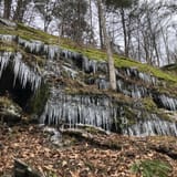 Tanbark Loop, New York - 574 Reviews, Map | AllTrails