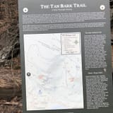 Tanbark Loop, New York - 574 Reviews, Map | AllTrails