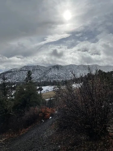 Best Hikes and Trails in Overend Mountain Park | AllTrails