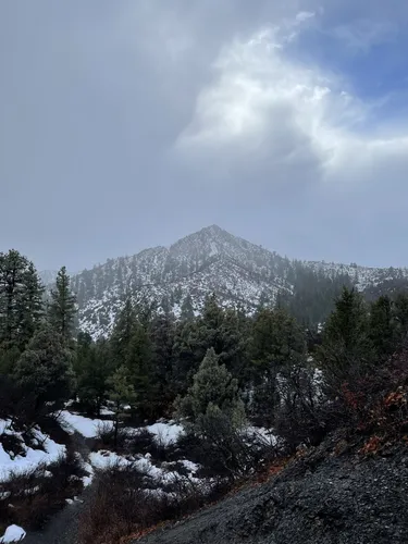 Best Hikes and Trails in Overend Mountain Park | AllTrails