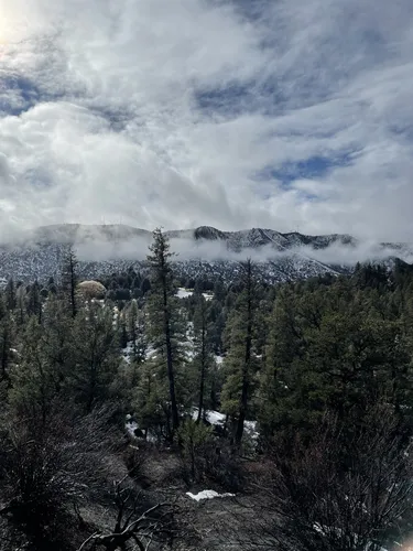 Best Hikes and Trails in Overend Mountain Park | AllTrails