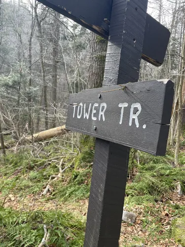 Best Hikes and Trails in Snyder-Middleswarth Natural Area | AllTrails